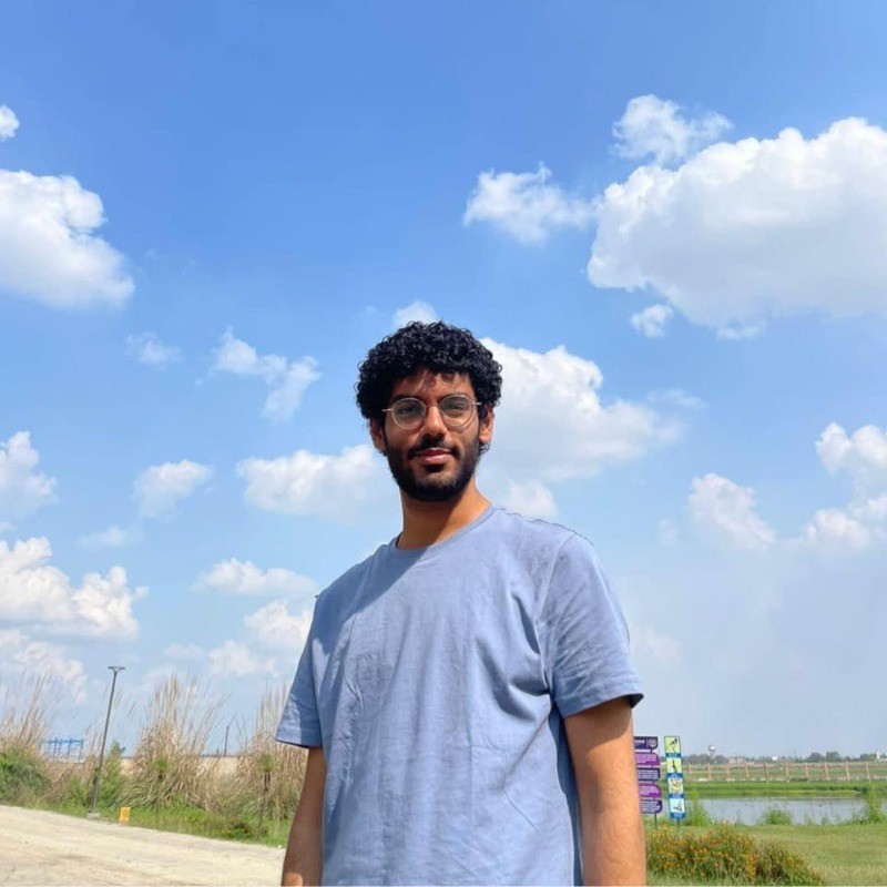 Ritwik Bandyopadhyay - Almanac